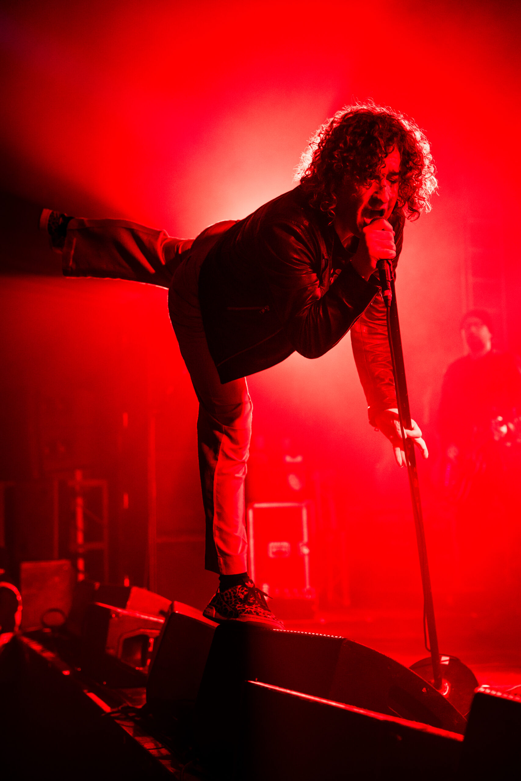THE PIGEON DETECTIVES ARE STILL FLYING HIGH TWENTY YEARS LATER ...